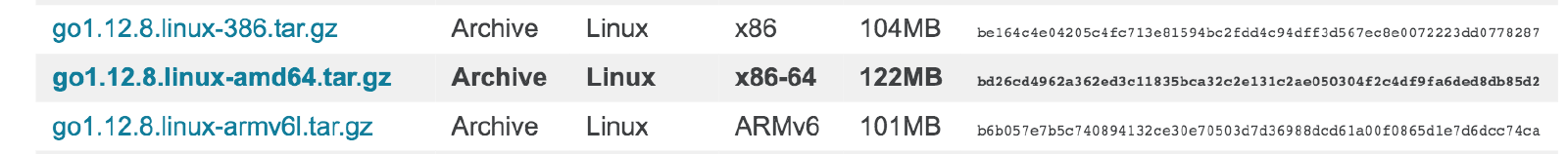 Practical Go Lessons