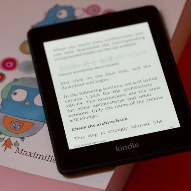 Practical Go Lessons