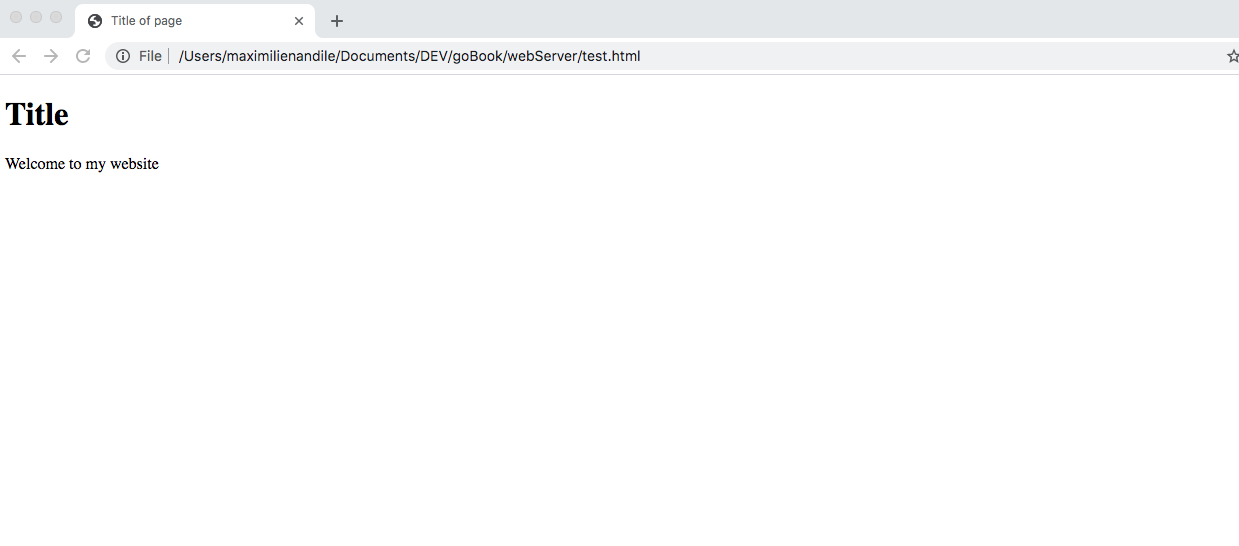Practical Go Lessons